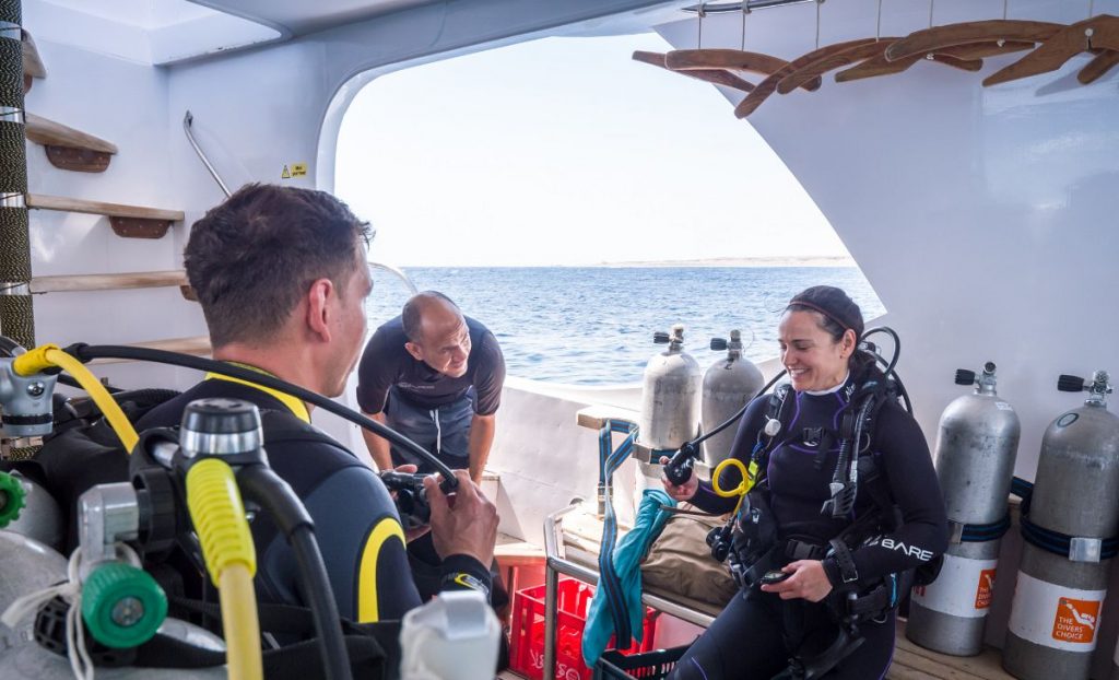 Give yourself a winter warmer with our special daily dive offer ...