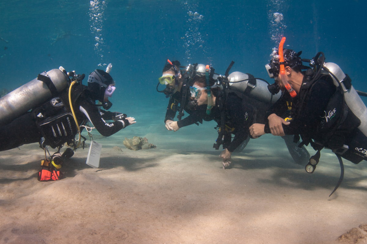 PADI Instructor Development Courses with Emperor Divers Red Sea