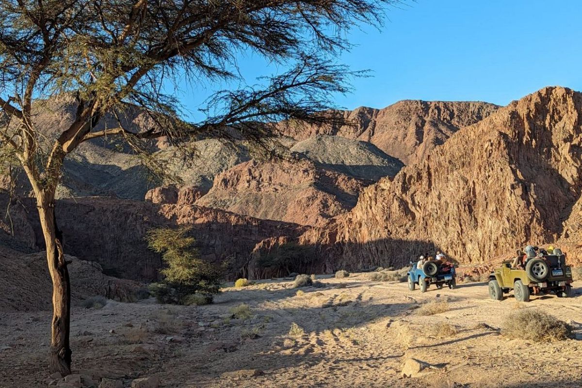 Diving in Wadi Sabarah, Red Sea, with Emperor Divers