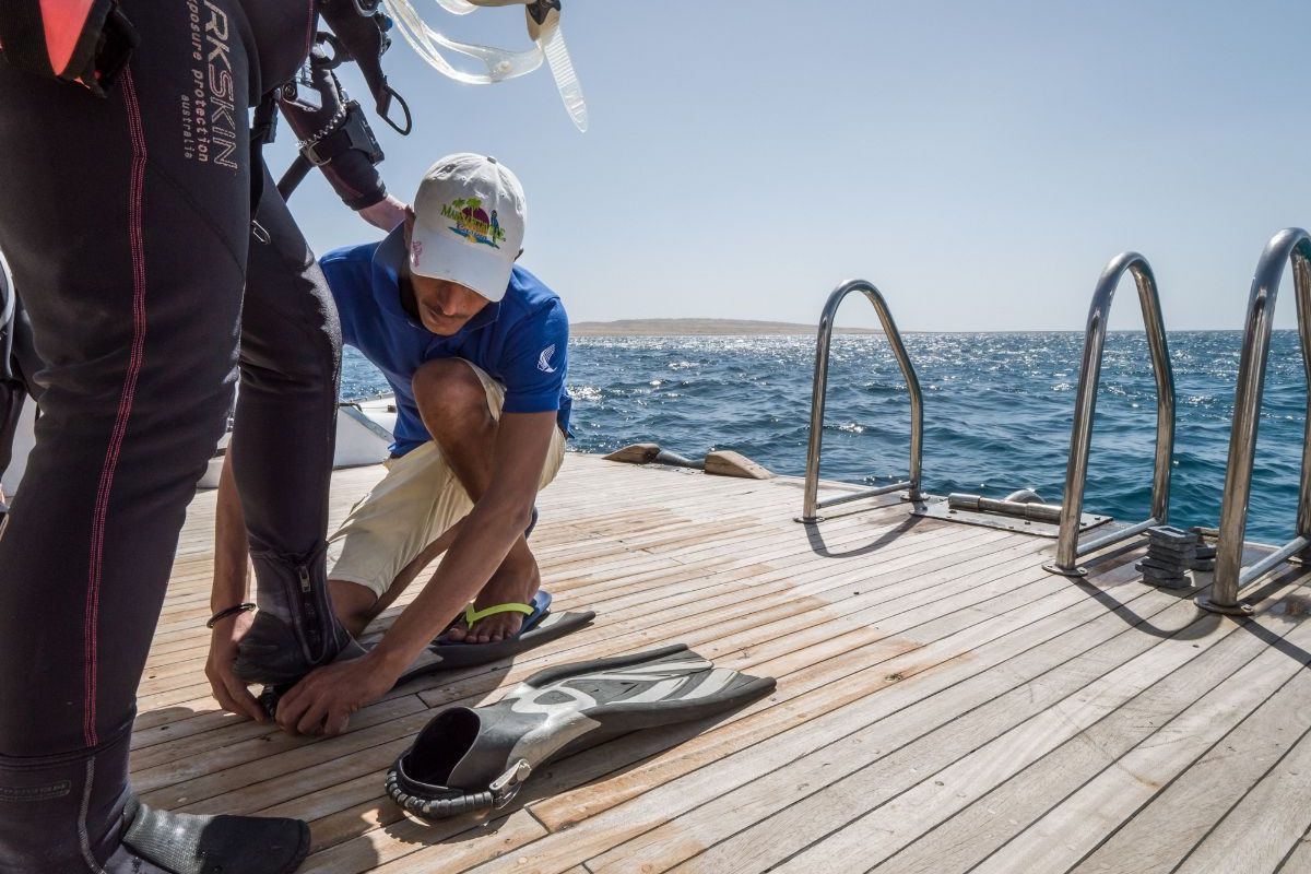 Diving in Wadi Sabarah, Red Sea, with Emperor Divers