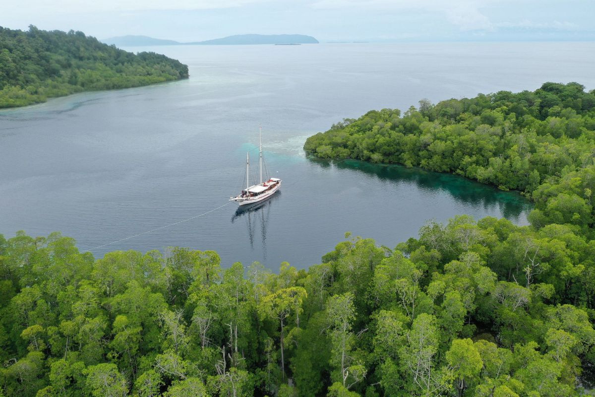 Two boats - two special ways to explore Indonesia - Emperor Divers
