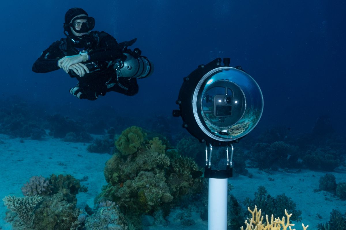 Diving Holidays with Emperor - Dive Resorts, Liveaboards & PADI Courses