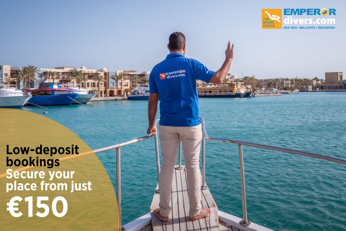 Use our low-deposit offer to book your next trip - Emperor Divers