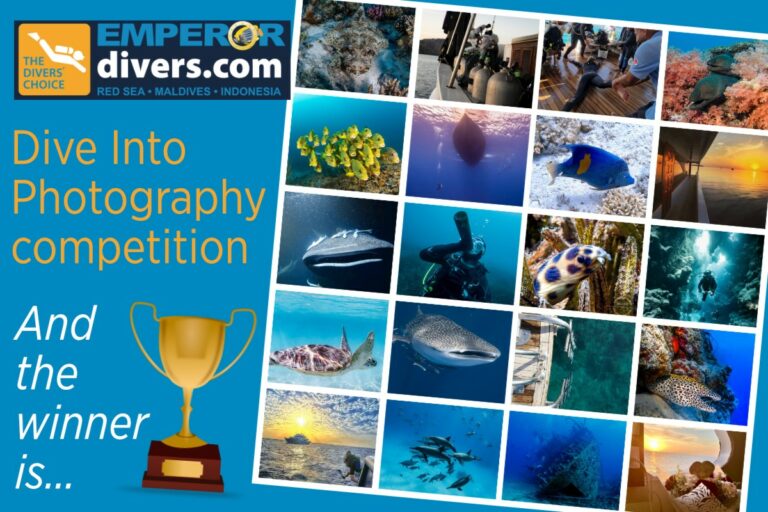 And the winner of our ‘Dive Into Photography’ competition is… - Emperor Divers