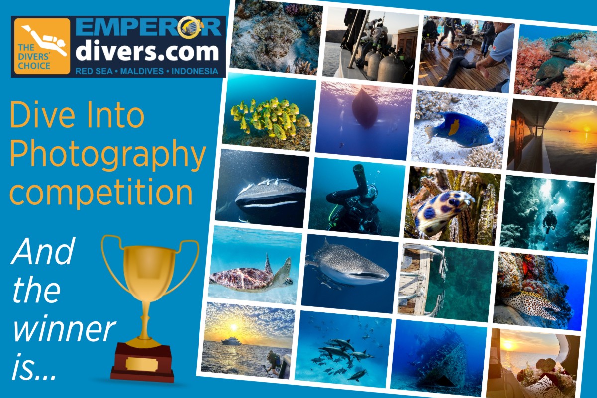 And the winner of our ‘Dive Into Photography’ competition is… - Emperor ...