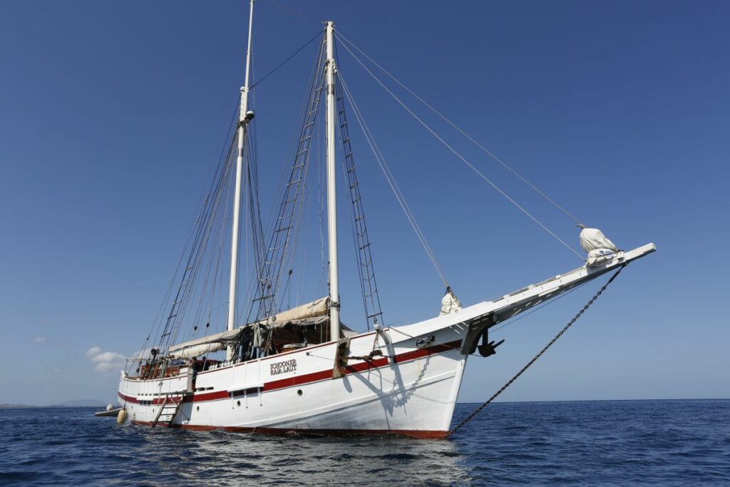 Make your Komodo dream come true this summer - Emperor Divers