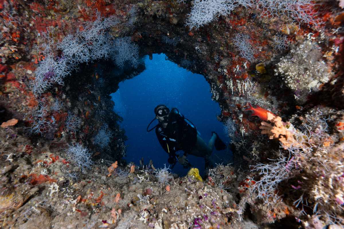 Diving Holidays with Emperor - Dive Resorts, Liveaboards & PADI Courses