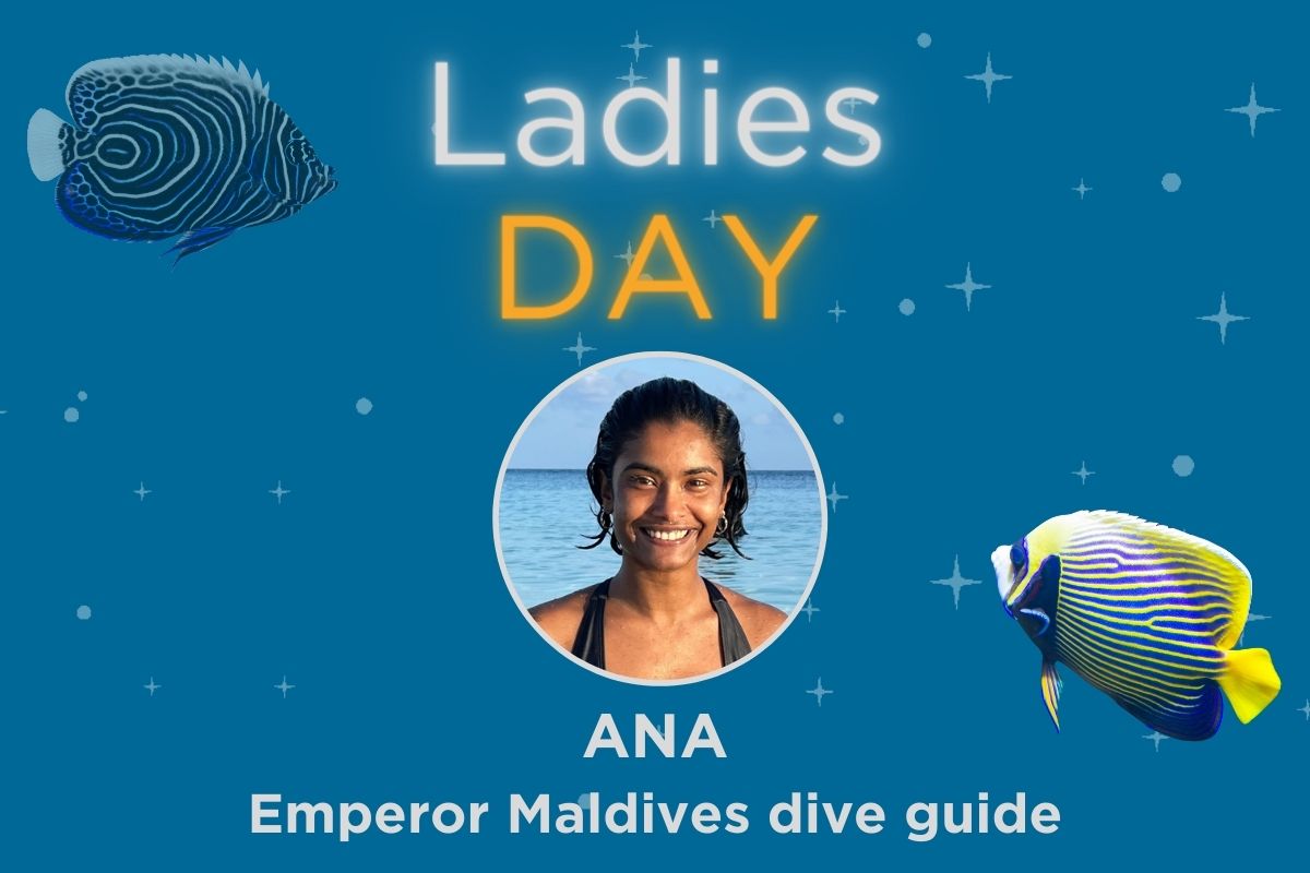 Diving Holidays with Emperor - Dive Resorts, Liveaboards & PADI Courses