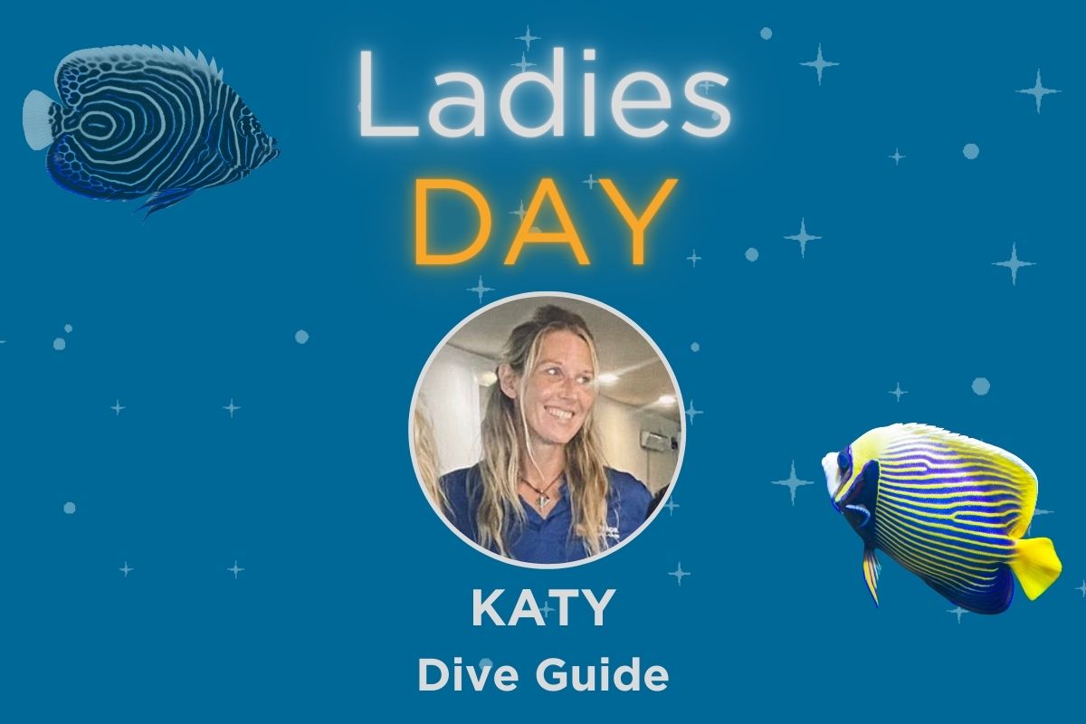 Celebrating Women in Diving: Ladies Day with Katy Schweigler