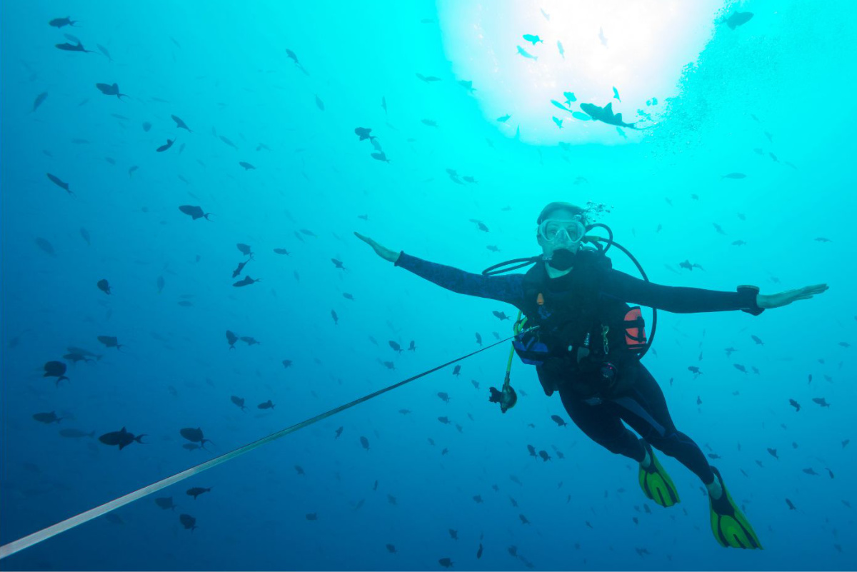 What are reef hooks - and how do you use them properly? - Emperor Divers