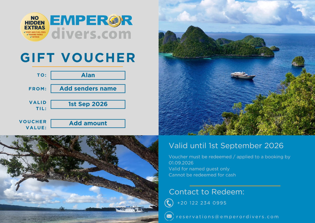 Give the gift of diving this Christmas - Emperor Divers