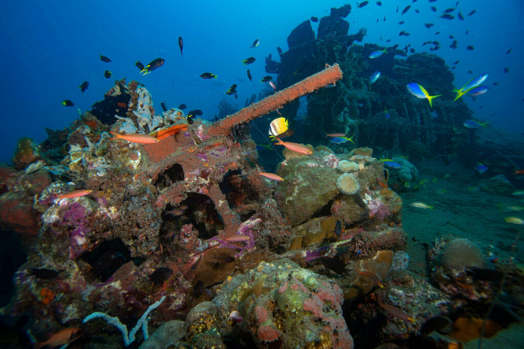 Guadalcanal Wreck Diving - Discover the History of Iron Bottom Sound ...